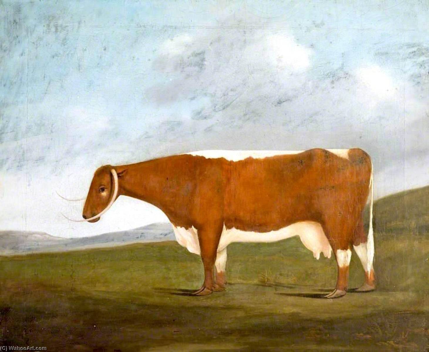 Obter Gravura De Qualidade De Museu `Longhorn Beauty` ` por John ...