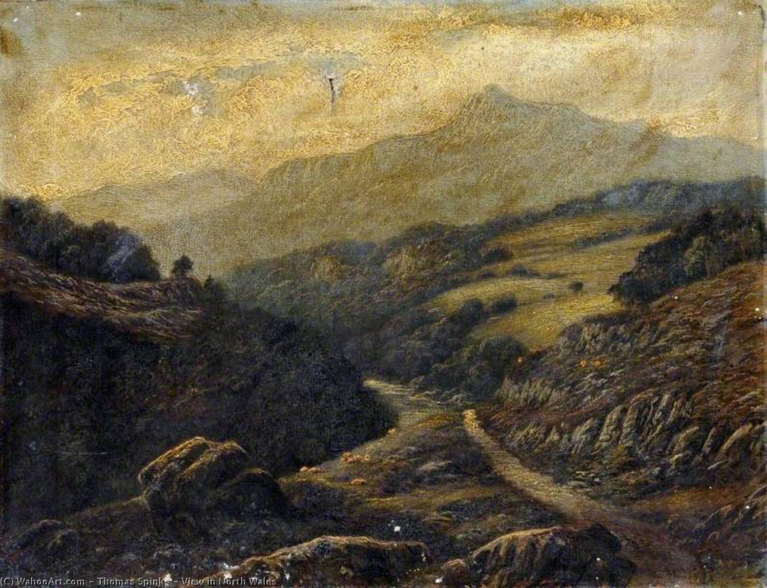 Vista em North Wales, 1900 por Thomas Spinks Thomas Spinks | ArtsDot.com